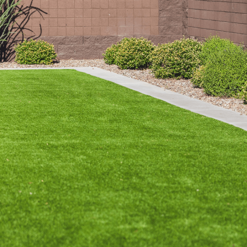 Denver Artificial Turf Services - Omni Landscape