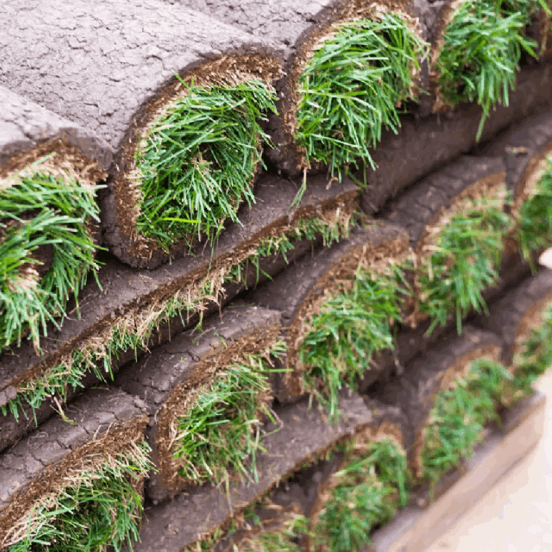 Sod Services - Installation, Resodding, Maintenance